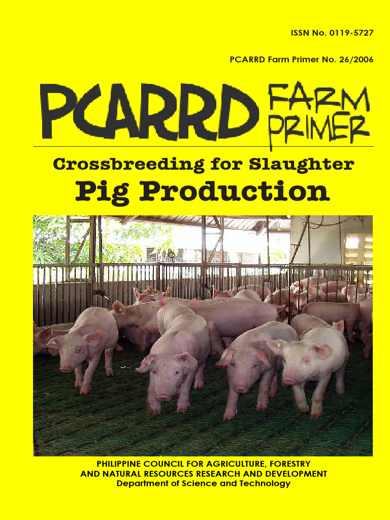 Crossbreeding Techniques for Pig Production | PDF | Pipe (Fluid ...