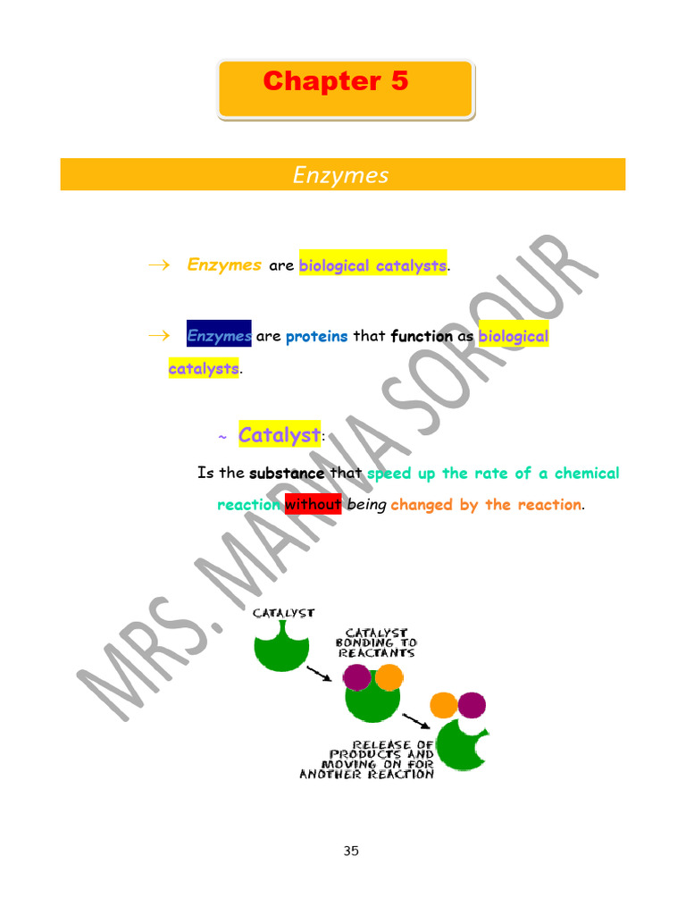 Chapter 5 | PDF | Enzyme | Active Site Chapter 5 | PDF | Enzyme | Active Site