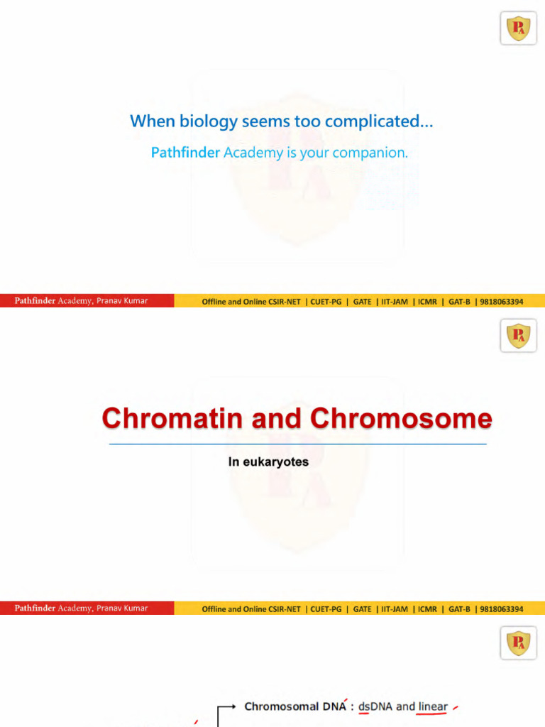 Chromatin & chromosome Lecture By Pranav kumar Pathfinder academy | PDF