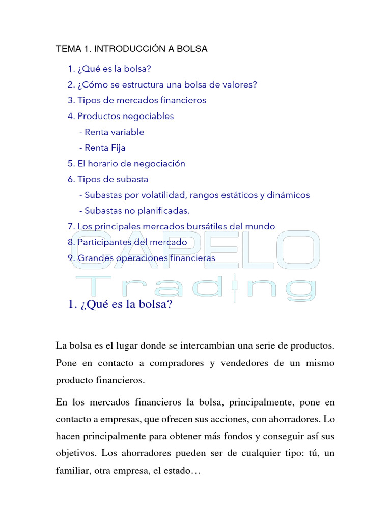 Tema 1 Introducción A La Bolsa | PDF | Derecho