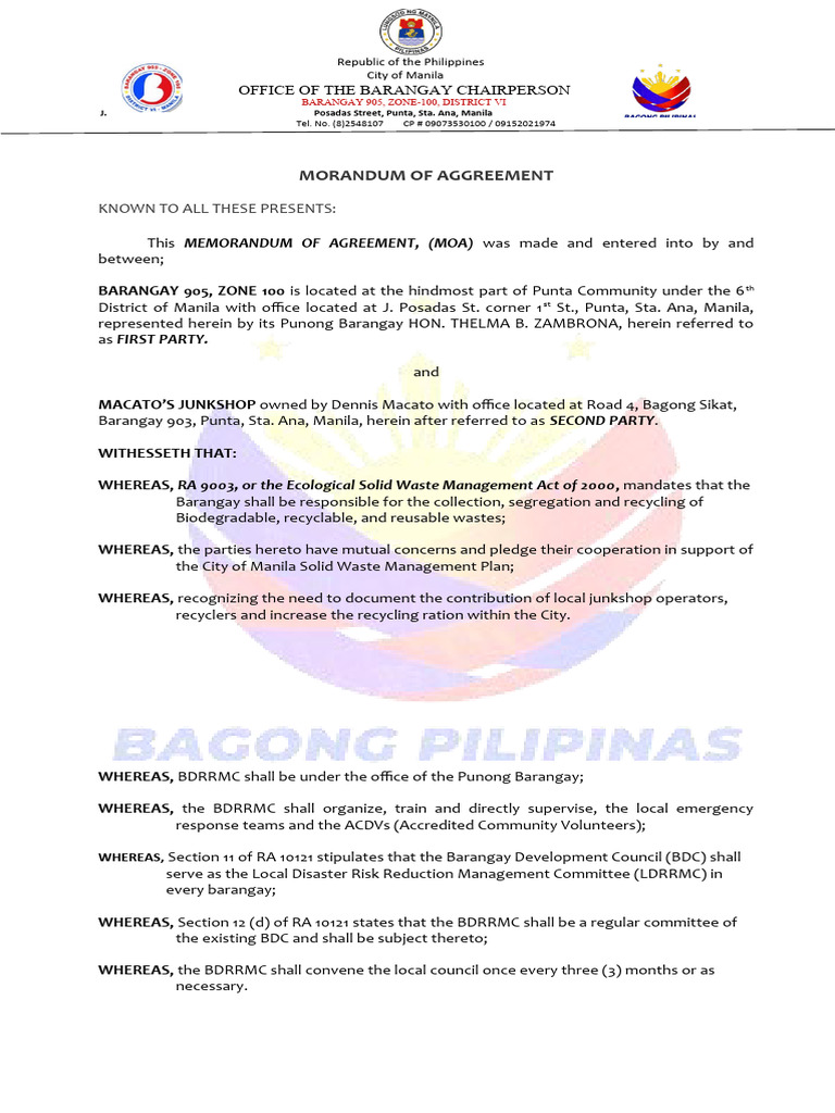 BDRRMC | PDF | Risk Management | Disaster Risk Reduction