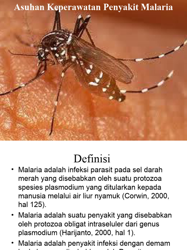 Askep Malaria Tropika | PDF