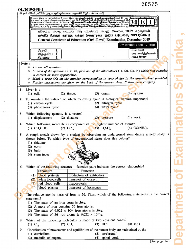 2019 OL Science Past Paper English Medium | PDF