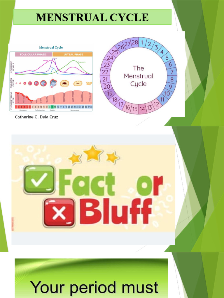 Menstrual Cycle | PDF | Menstrual Cycle | Sexual Anatomy
