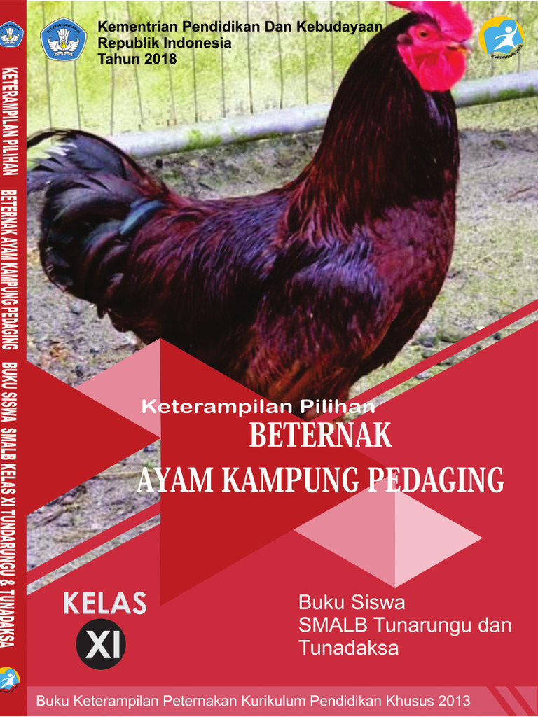 Buku 2021 11 TR SW Beternak-Ayam-kampung-pedaging | PDF