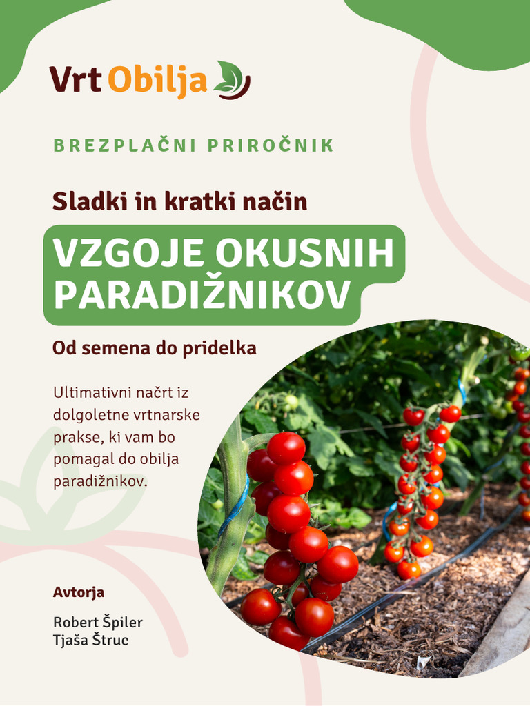 VRT Obilja Vzgoja Okusnih Paradiznikov Od Semena Do Pridelka | PDF