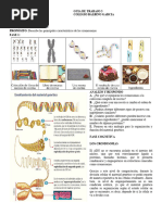 Clase#2 Dotación Cromosomica. | PDF | Cromosoma | Biología Celular)