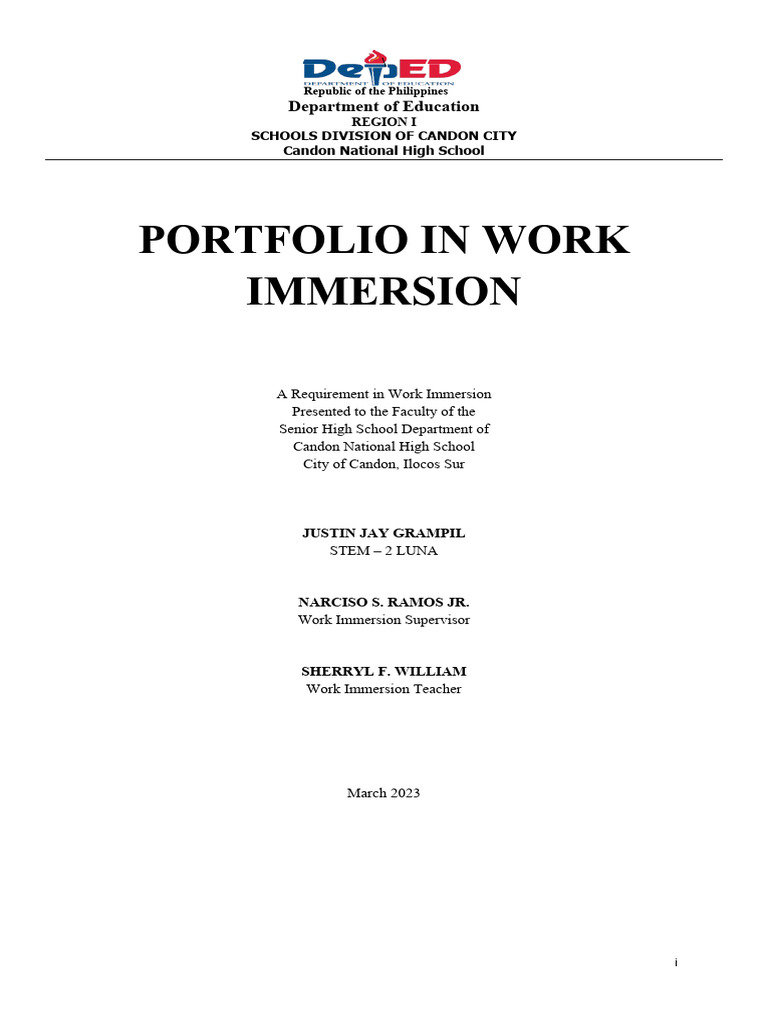 Portfolio Format Sample | PDF | Health Care | Patient