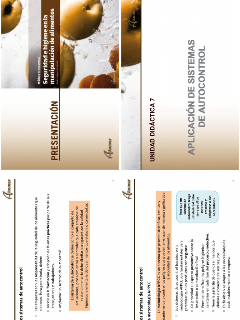 UNIDAD 7_SISTEMAS DE AUTOCONTROL | PDF | Análisis de Riesgo y Puntos Críticos de Control