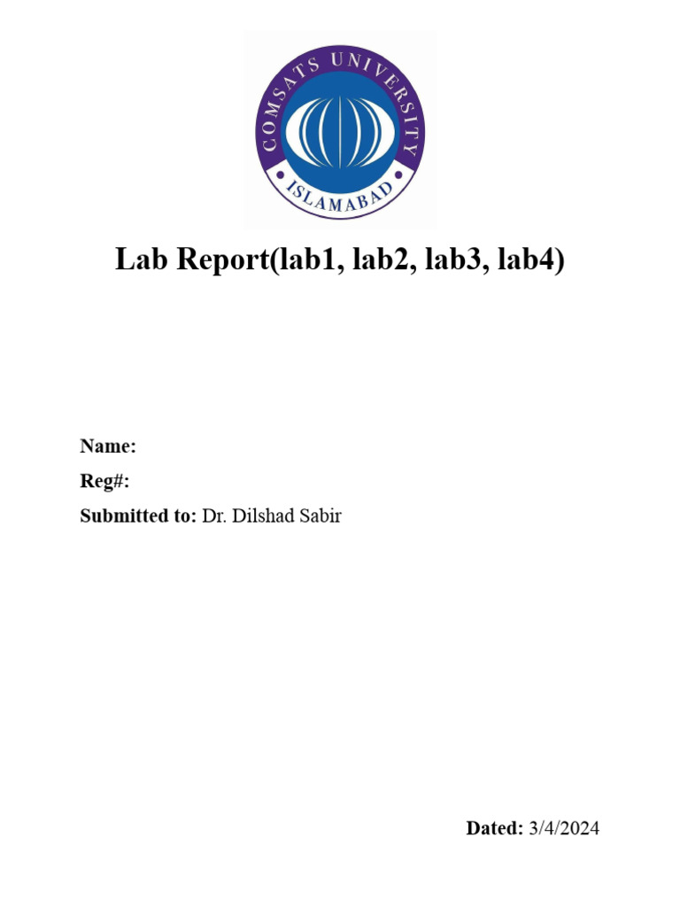 Lab Report | PDF