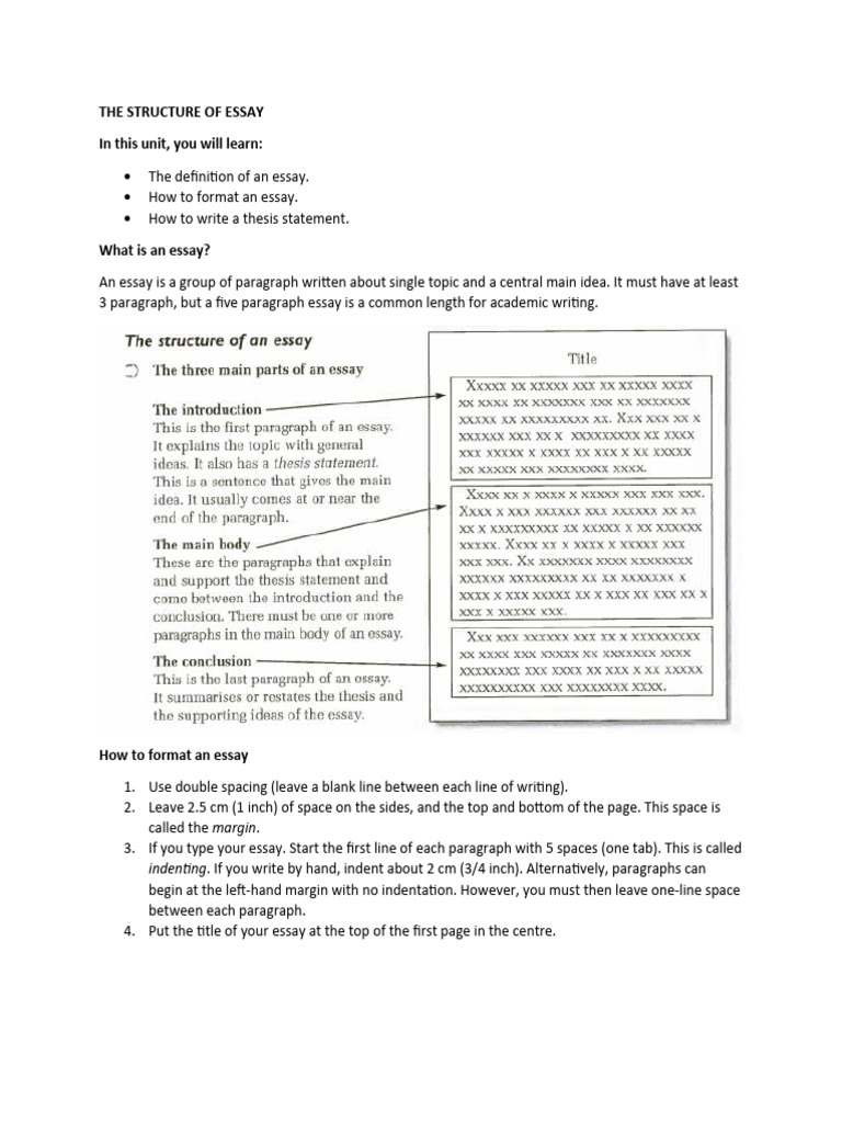 The Structure of An Essay | PDF