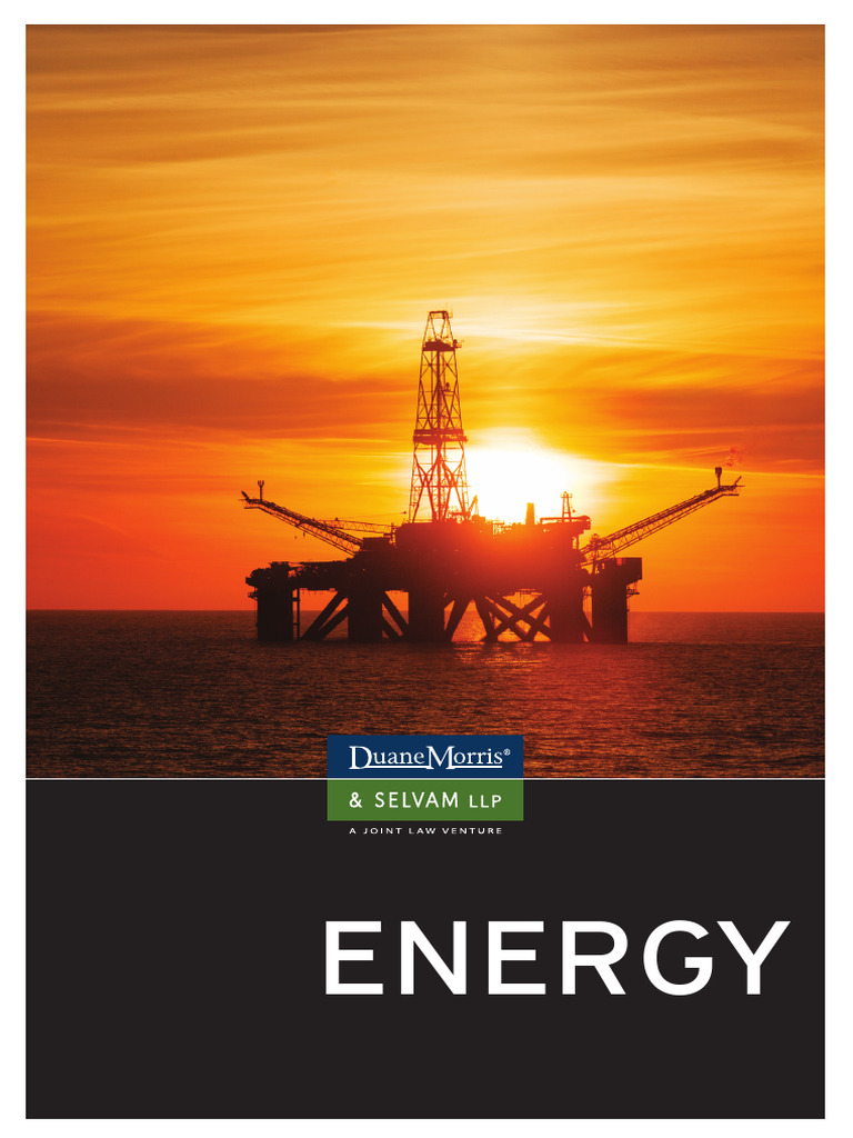 Dms Energy Brochure | PDF | Liquefied Natural Gas | Energy Industry