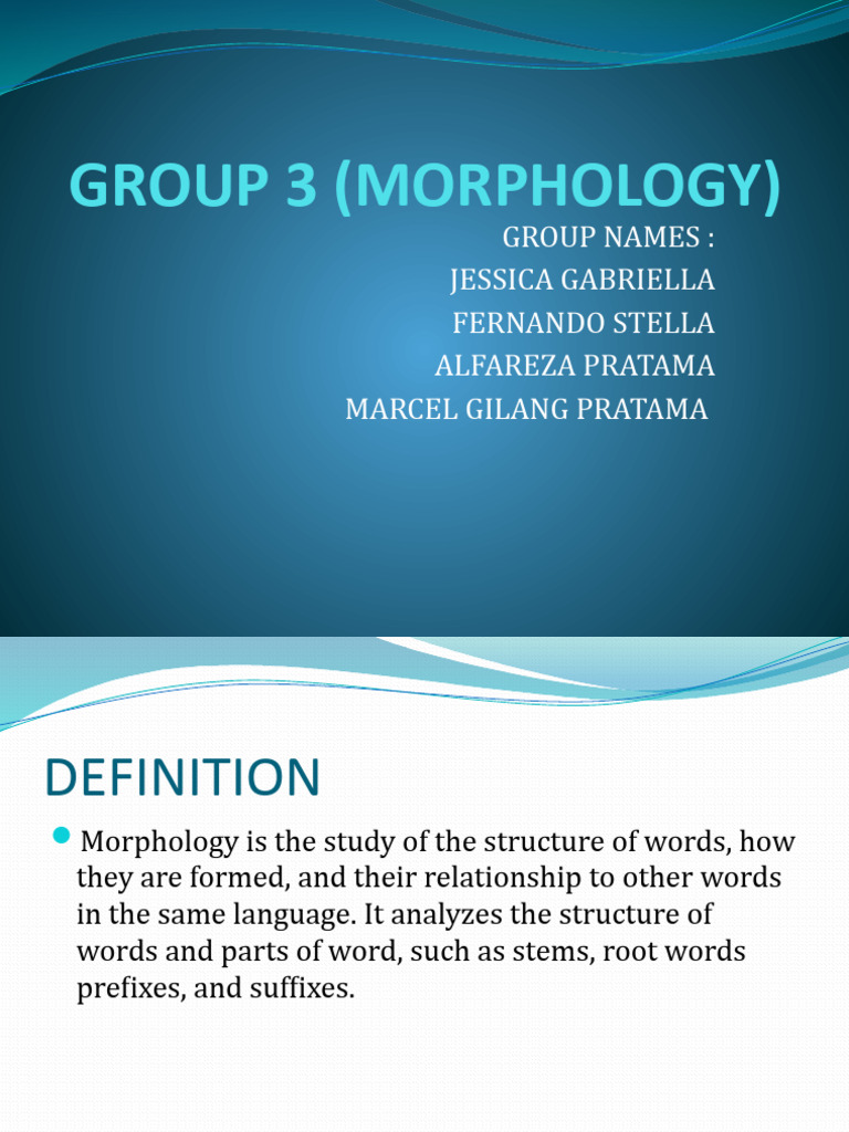 Group 3 (Morphology) | PDF | Verb | Grammatical Number