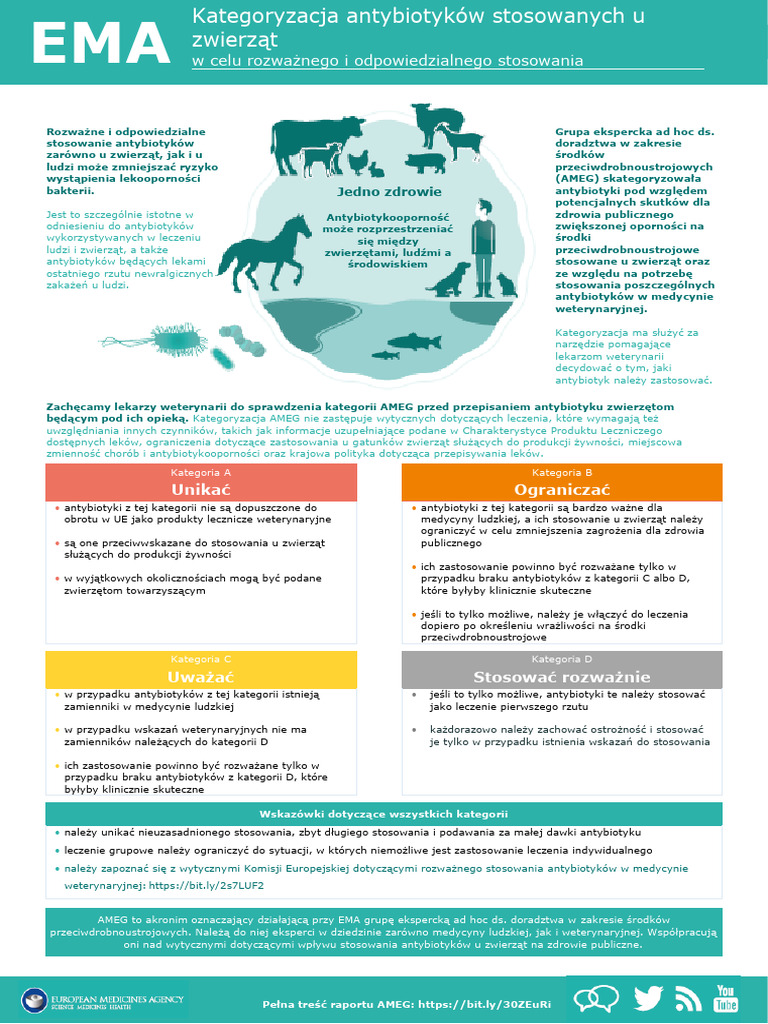 Antybiotyki | PDF