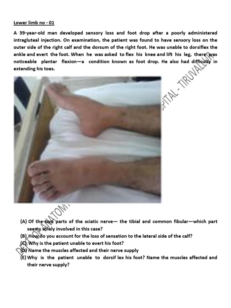 Medical Case Studies: Lower Limb Injuries | PDF | Human Leg | Foot