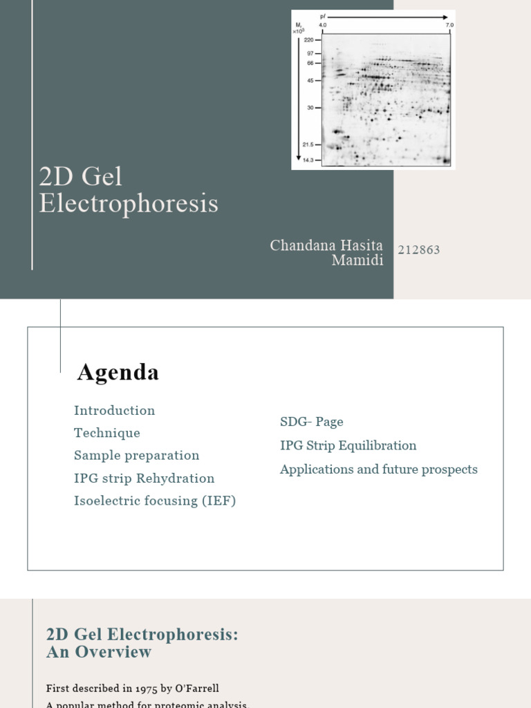 Overview of 2D Gel Electrophoresis | PDF