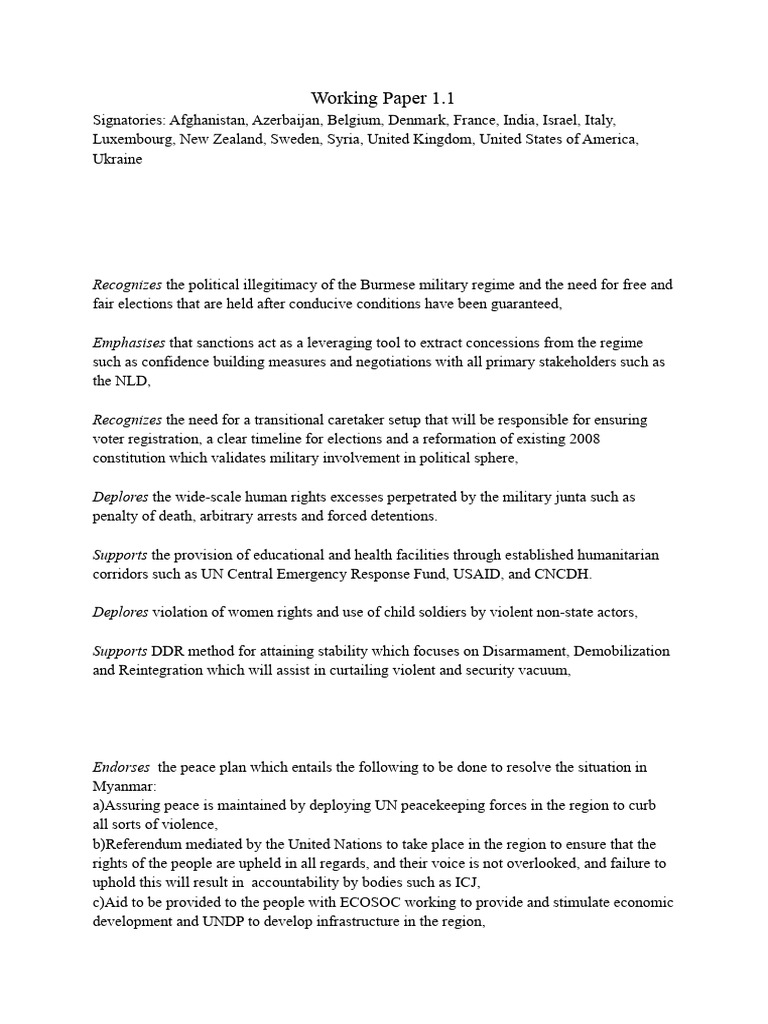Working Paper 1.1 | PDF