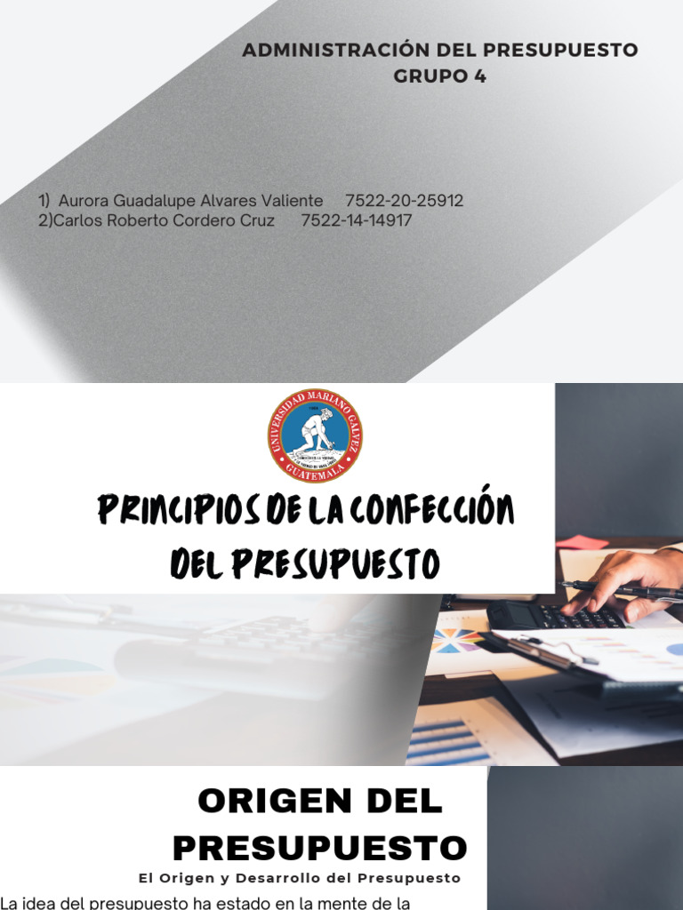 Principios de la confección del presupuesto | PDF | Presupuesto | Business