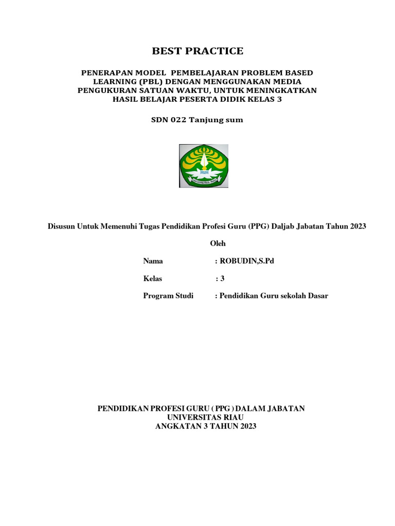 Best Practice Robudin, S.PD | PDF