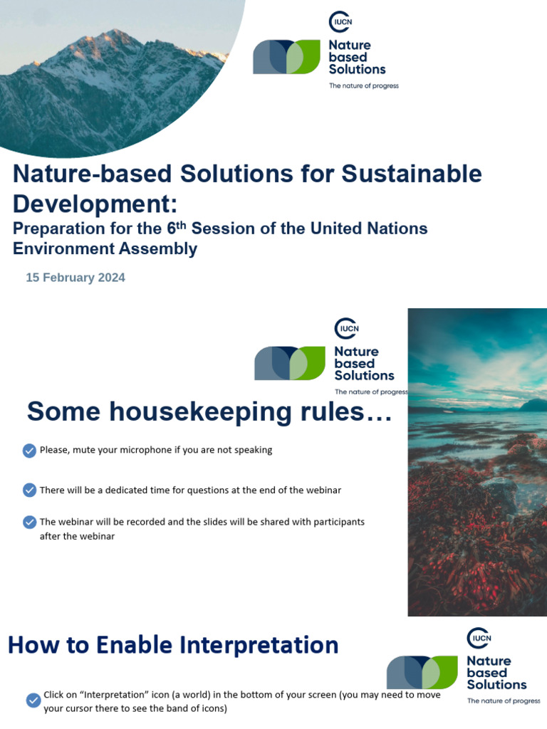 Slides_IUCN Webinar on the Global Standard on NbS - In Preparation for UNEA6 | PDF ...