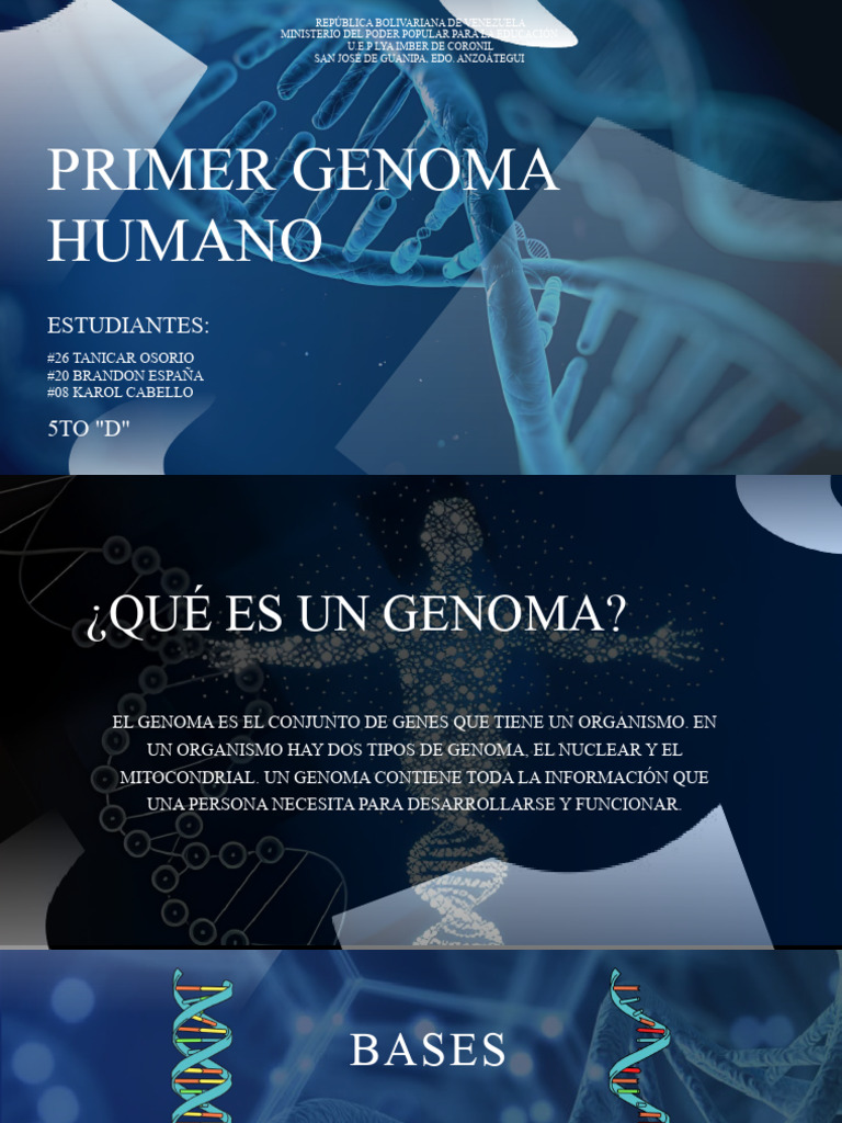 Historia y avances del genoma humano | PDF | Secuencia ADN | Adn
