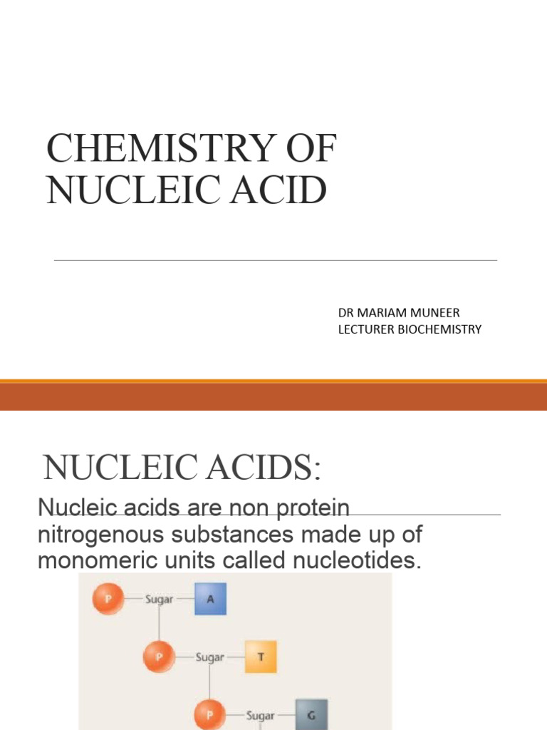 Nucleic Acid Chemistry | PDF | Dna | Rna