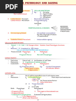 Histology Notes With Slides | PDF