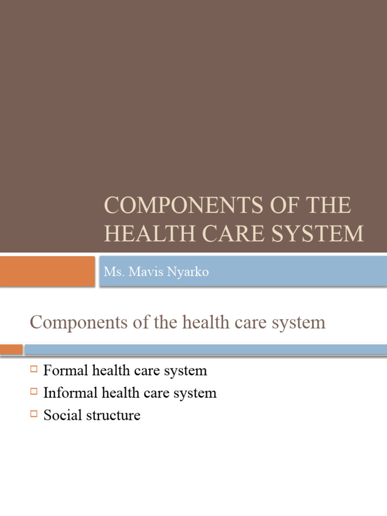 Components of The Health Care System VI | PDF