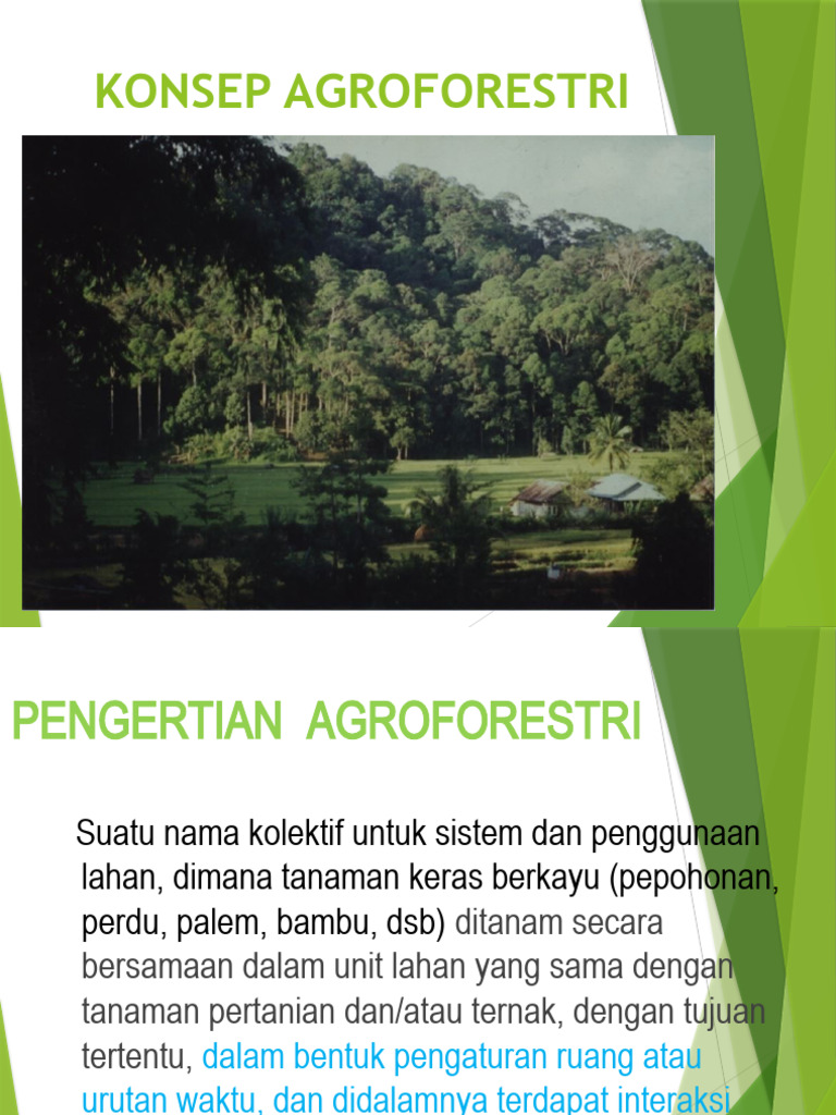 Saf 2 Konsep Sistem Agroforestry | PDF