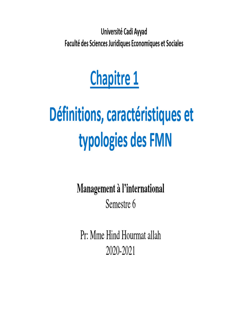 Stratégie Des Firmes Multinationales - H.Hourmat Allah | PDF