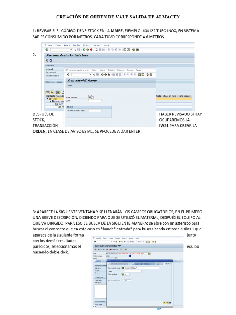 PASOS PARA CREAR ORDEN DE CONSUMO DE VALES ALMACÉN | PDF | Informática