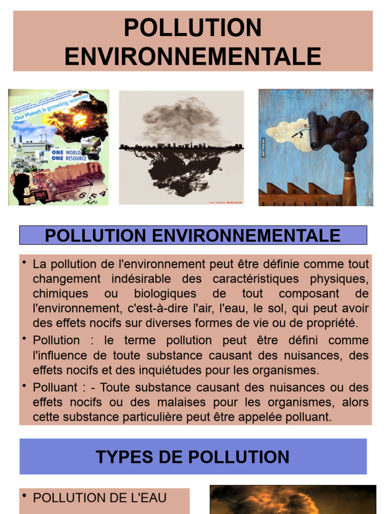 Air Pollution PPT French | PDF