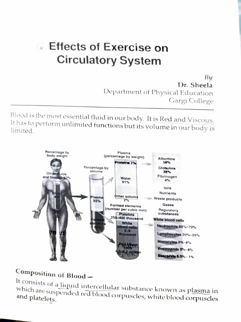 Effect of Exercise On Circulatory System | PDF | Vein | Artery