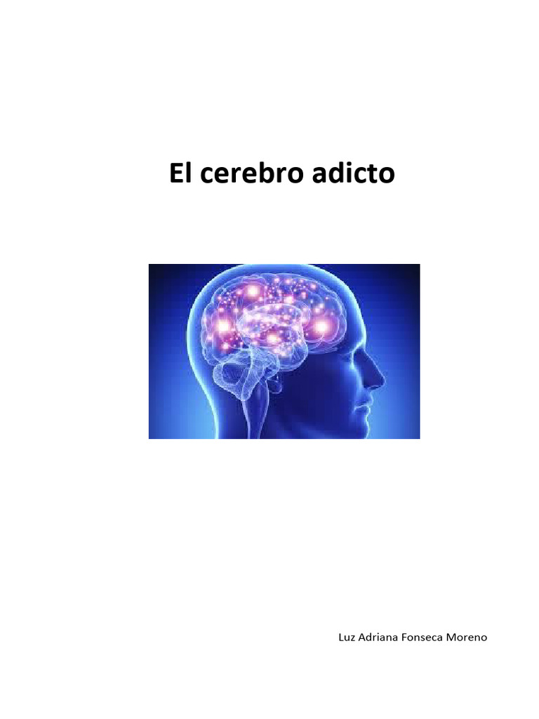 El Cerebro Adicto Descargar Gratis Pdf Drogas La Dependencia De
