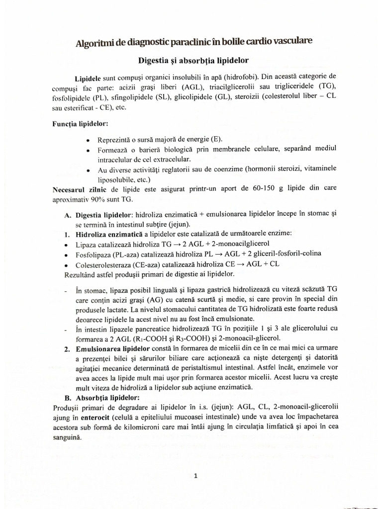 Algoritmi Partea 2 | PDF