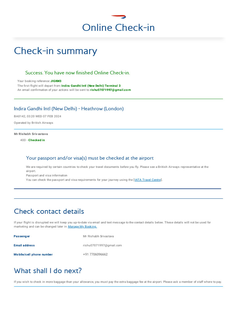 Check-In Summary | PDF | Aviation | Transport
