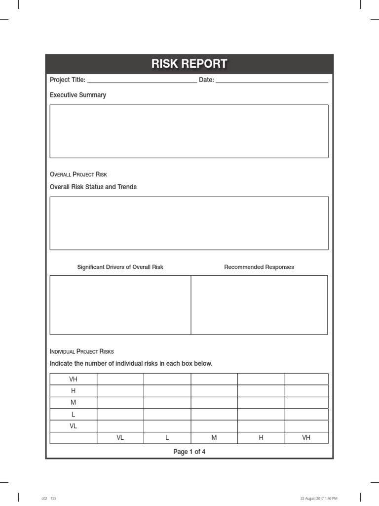 Form 2.27 - Risk Report | PDF | Risk | Business