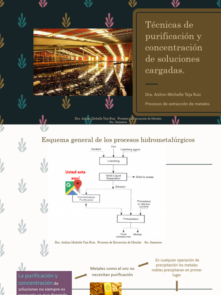 Purificaci N y Concentraci N de Soluciones Cargadas | PDF | Adsorción | Moléculas