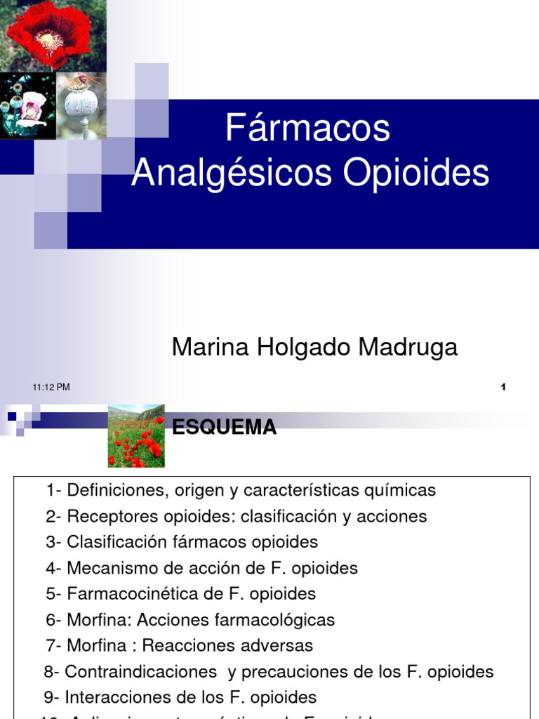 2023-24 MED Analgésicos Opioides | PDF | Opioide | Naloxona
