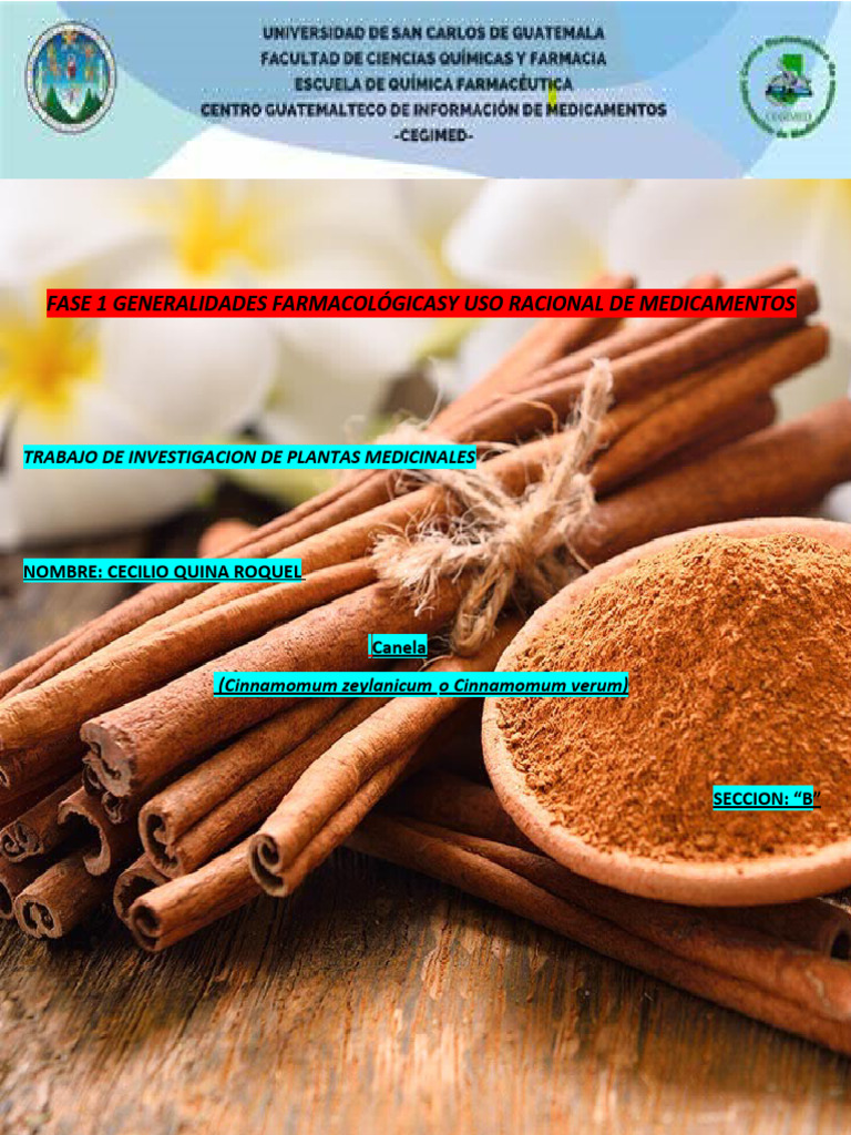Beneficios y Propiedades de la Canela | PDF | Salud y bienestar ...