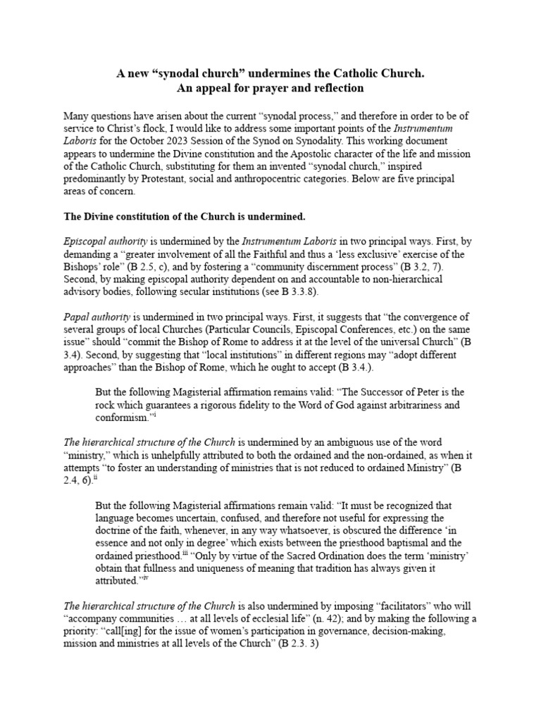 Declaration Instrumentum Laboris | Download Free PDF | Catholic Church ...
