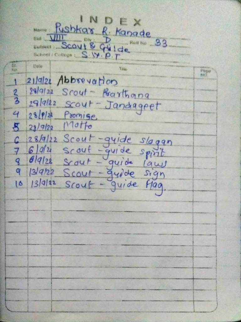 Scout Guide Notes | PDF