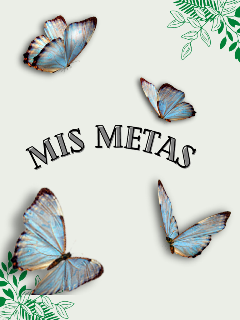 METAS | PDF
