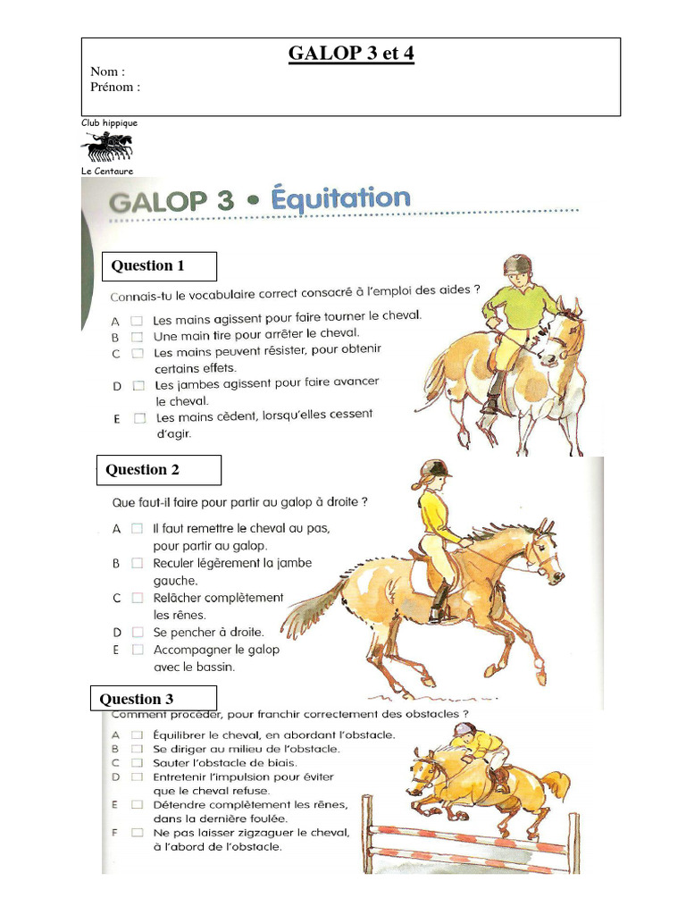 Questionnaire Théorie Galop 3 Et 4 | PDF