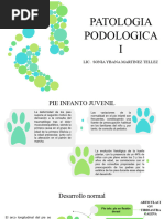 Ángulo de COSTA-BERTANI | PDF | Pie | Enfermedades y trastornos