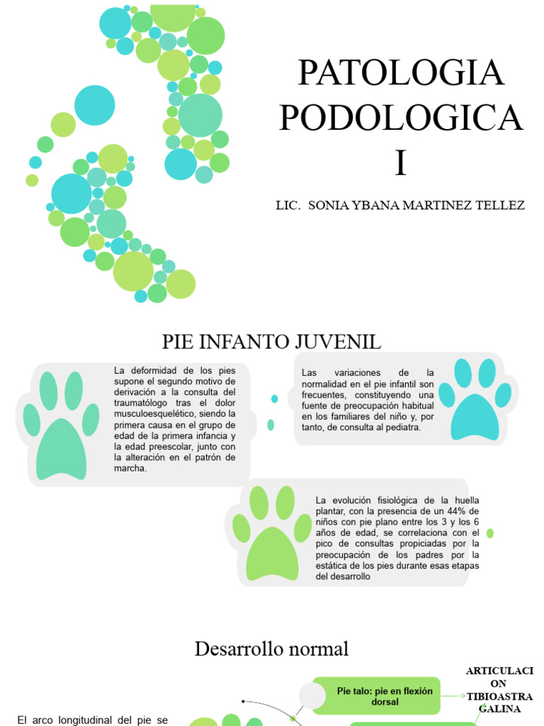 Pie Infanto Juvenil | PDF | Pie | Sistema musculoesquelético