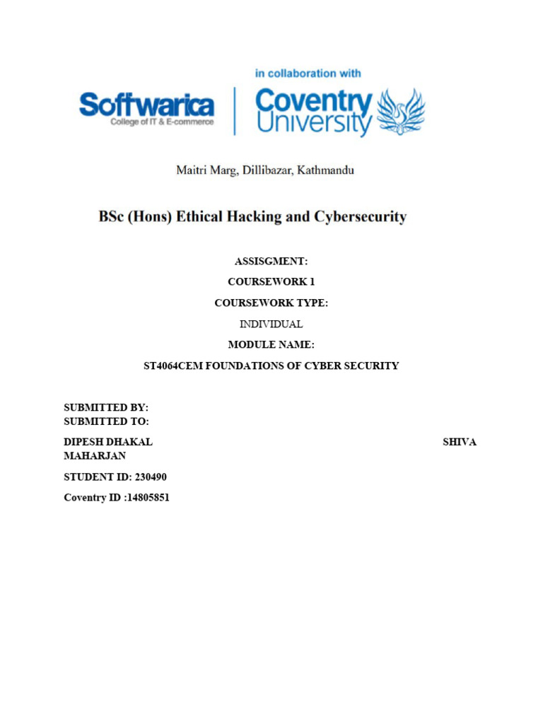 Foundation Coursework 1 | PDF