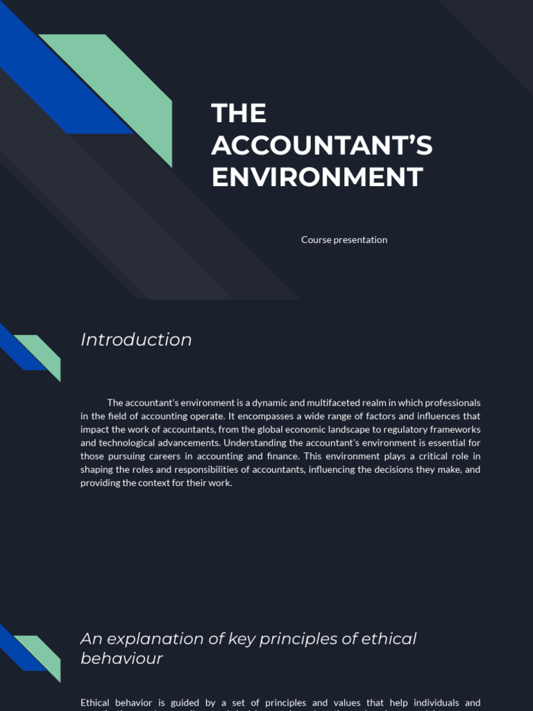The Accountant's Environment | PDF