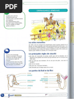 Théorie du Galop 5 : Apprentissage et Techniques | PDF | Allure ...