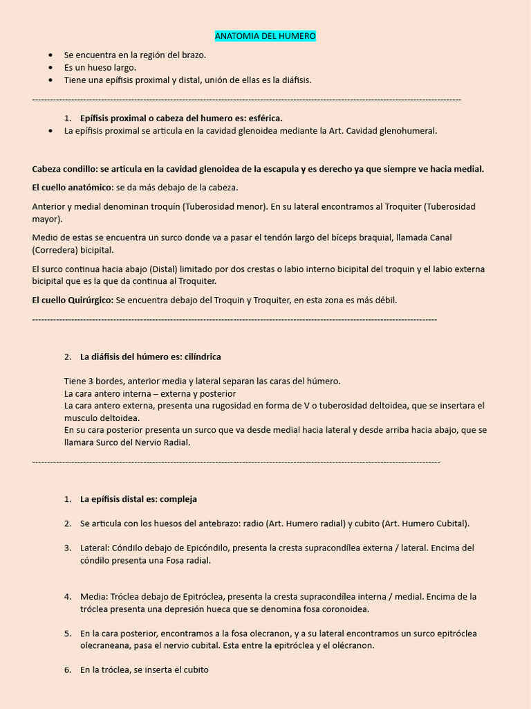 ANATOMIA DEL HUMERO | PDF | Anatomía humana | Sistema esquelético